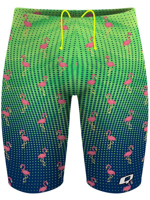 Speedo Candy Flamingos Girls One Piece Swimsuit