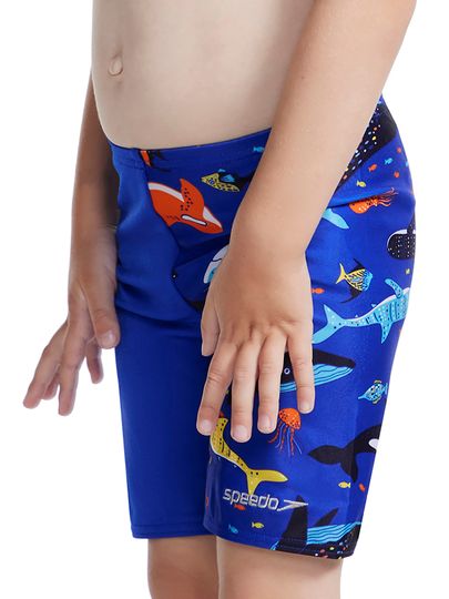 Speedo Toddler Jammers - Shark