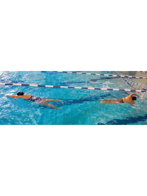 StrechCordz Grudge Belt | Swimmer.com.au