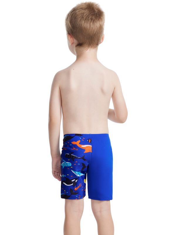 Speedo Toddler Jammers - Shark
