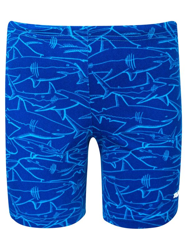 Rival Sea Dogs Toddler Boys Jammers