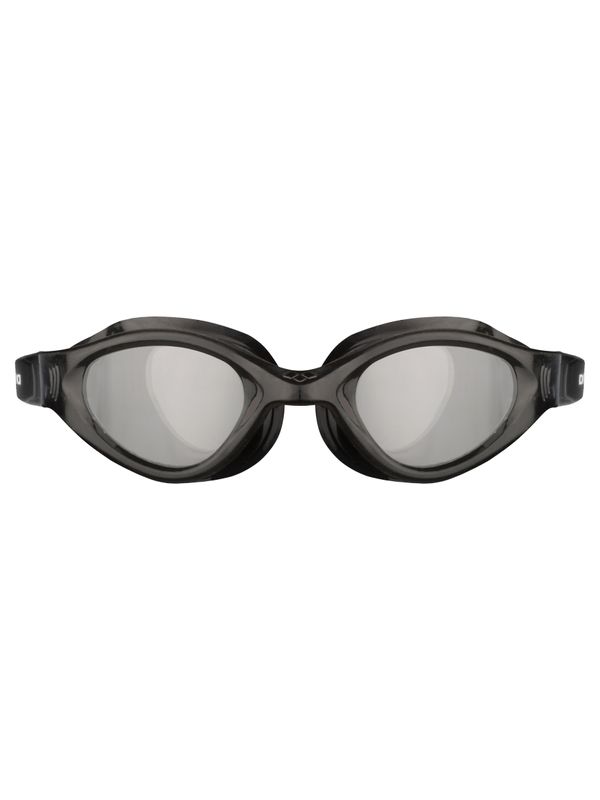 Arena Cruiser EVO Goggles - Clear/Black