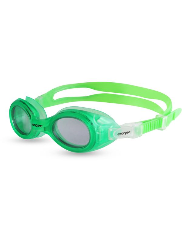 Tinted Lens Goggles