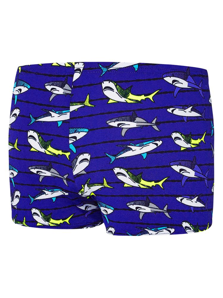 Speedo Shark Craze Toddler Boys Aquashorts