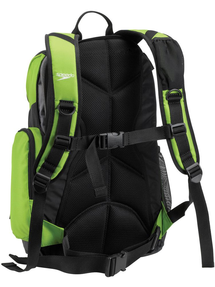 Speedo Teamster Backpack Jasmine Green