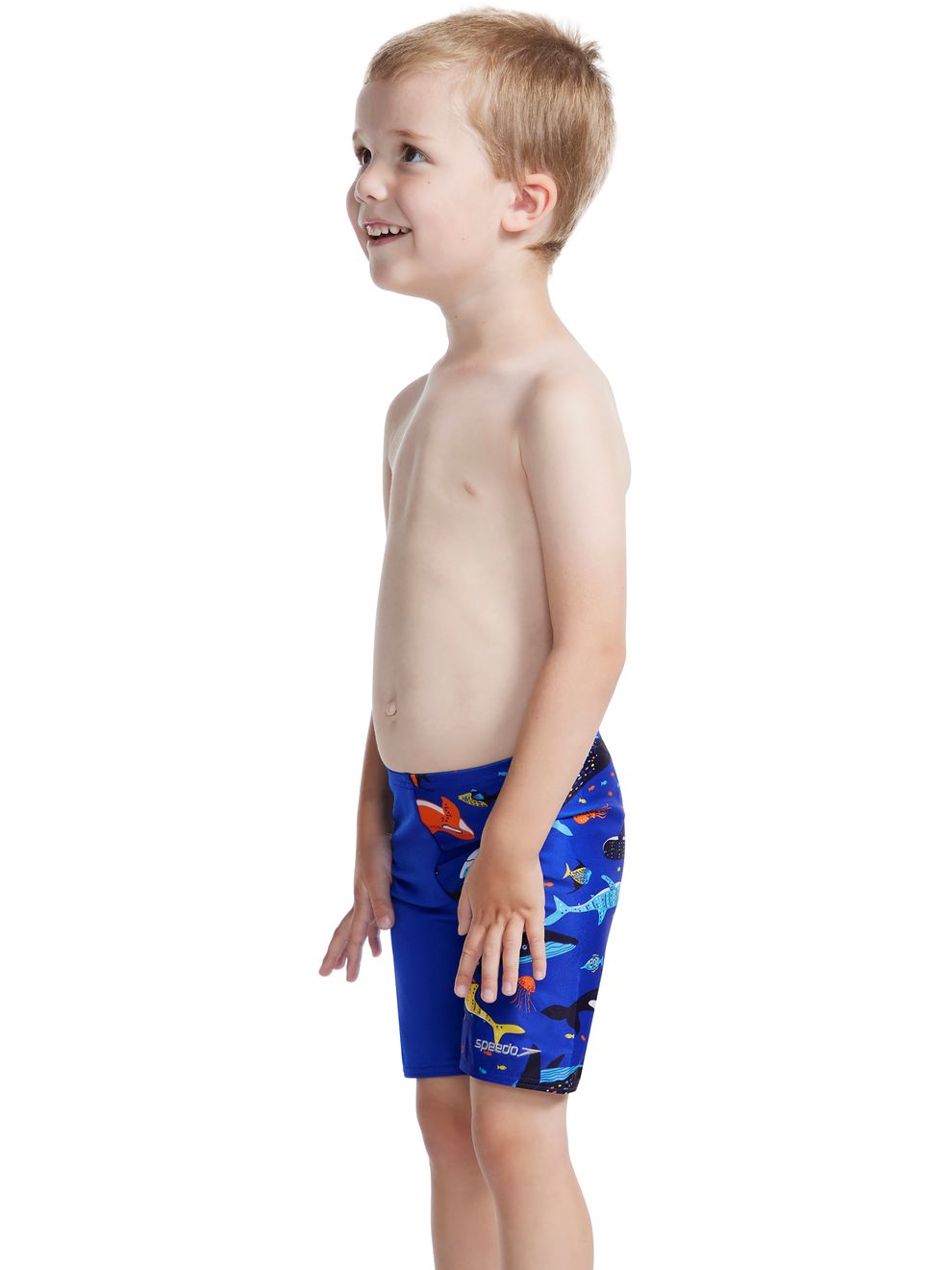 Speedo Toddler Jammers - Shark