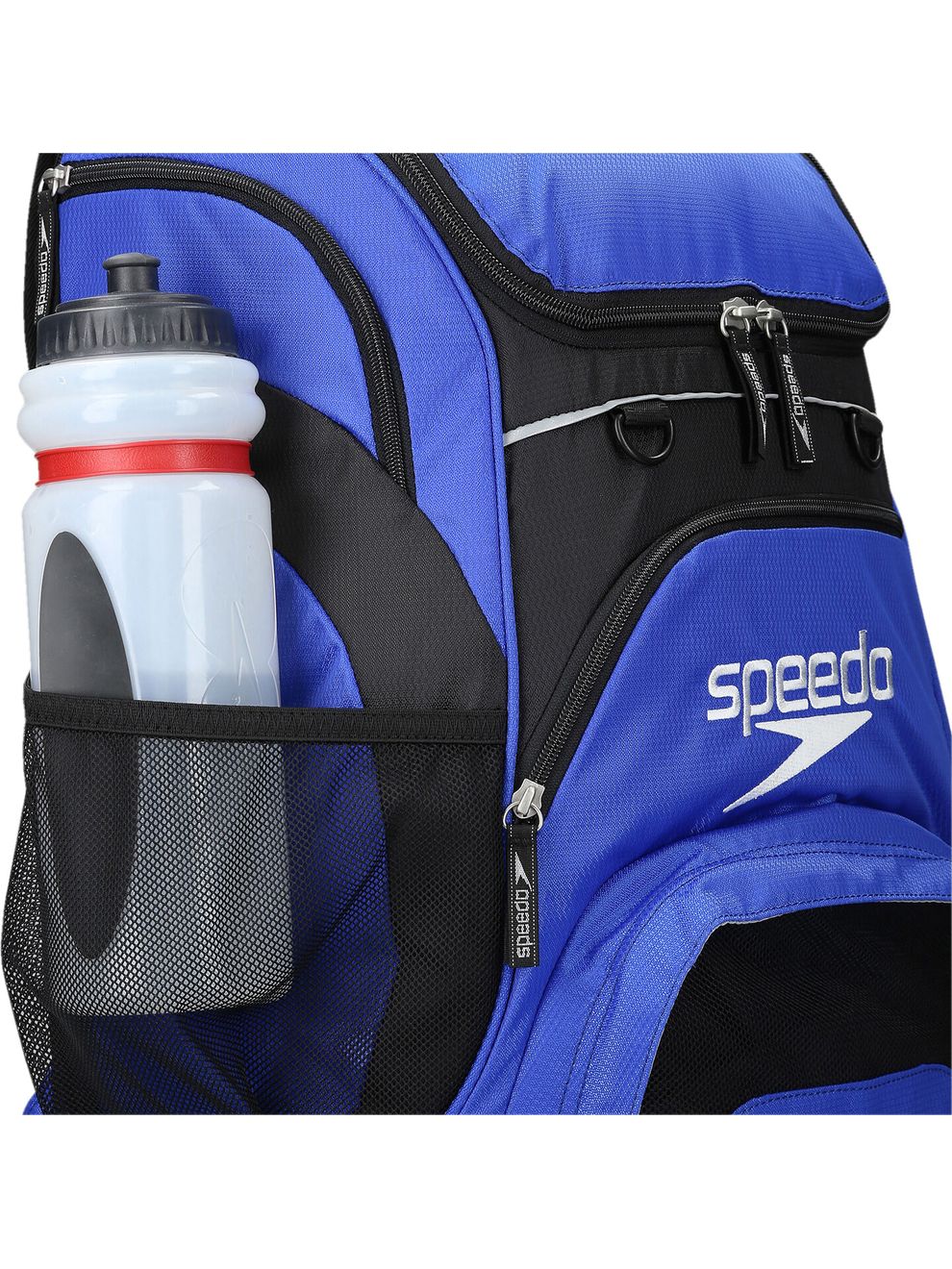 Speedo Teamster Backpack - Royal Blue