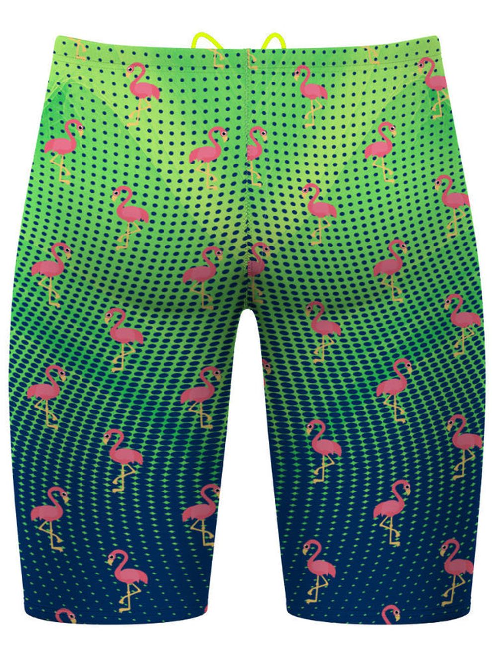 Q Swimwear Jammers - Party Flamingos