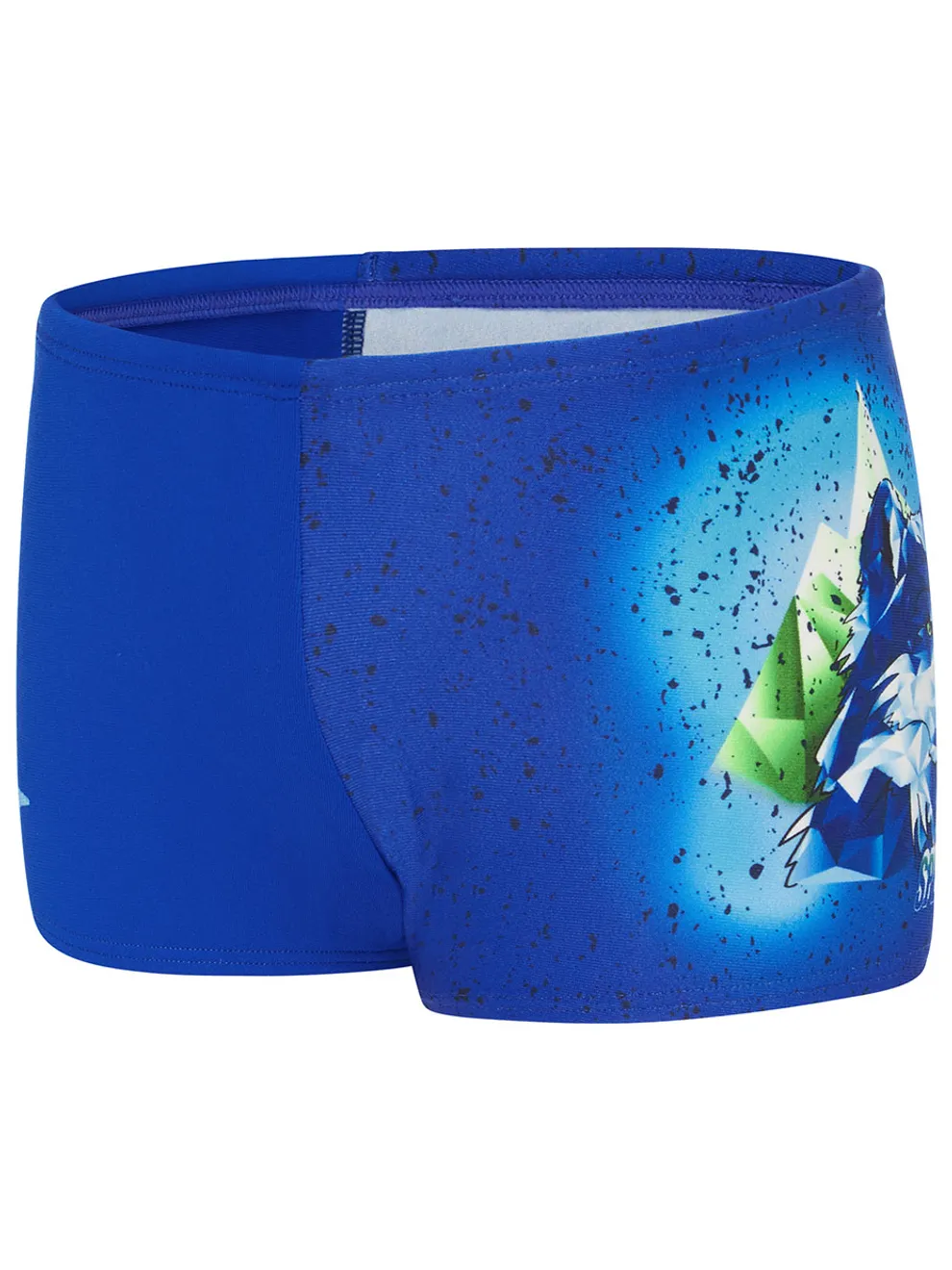 Boys Speedo Swimwear