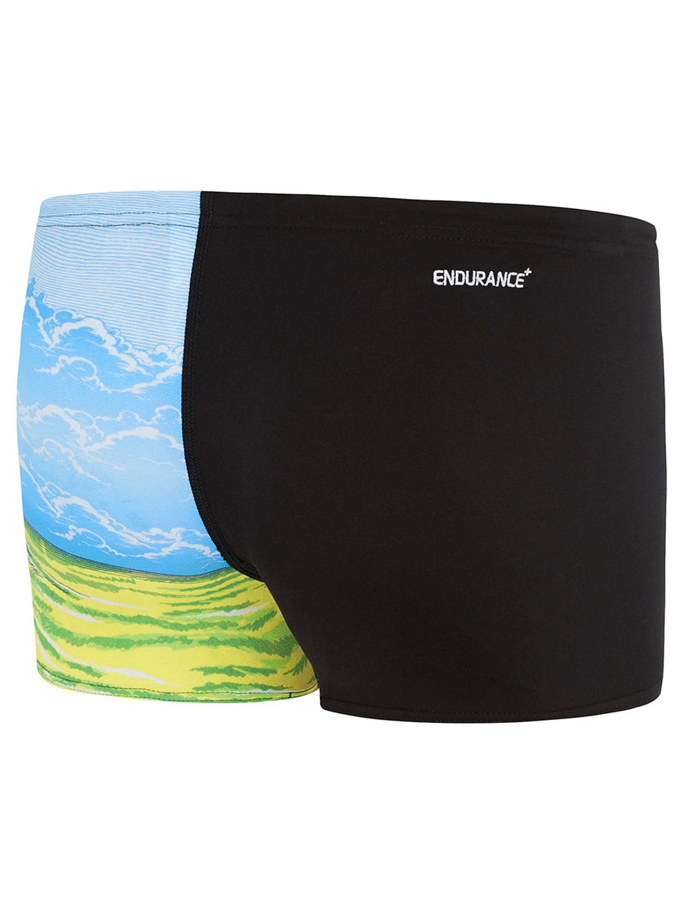 Speedo Surf Geetar Boys Aquashorts